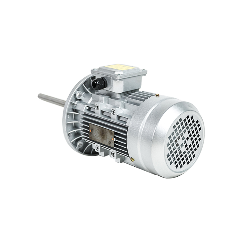 Extended shaft motor